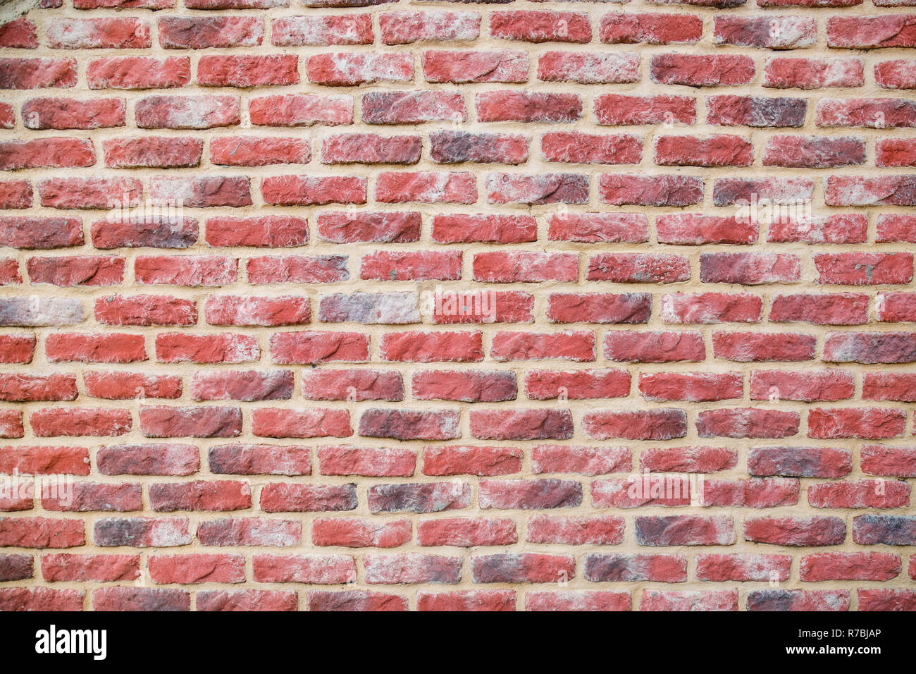Bright red brick wall texture hi-res stock photography and images - Alamy