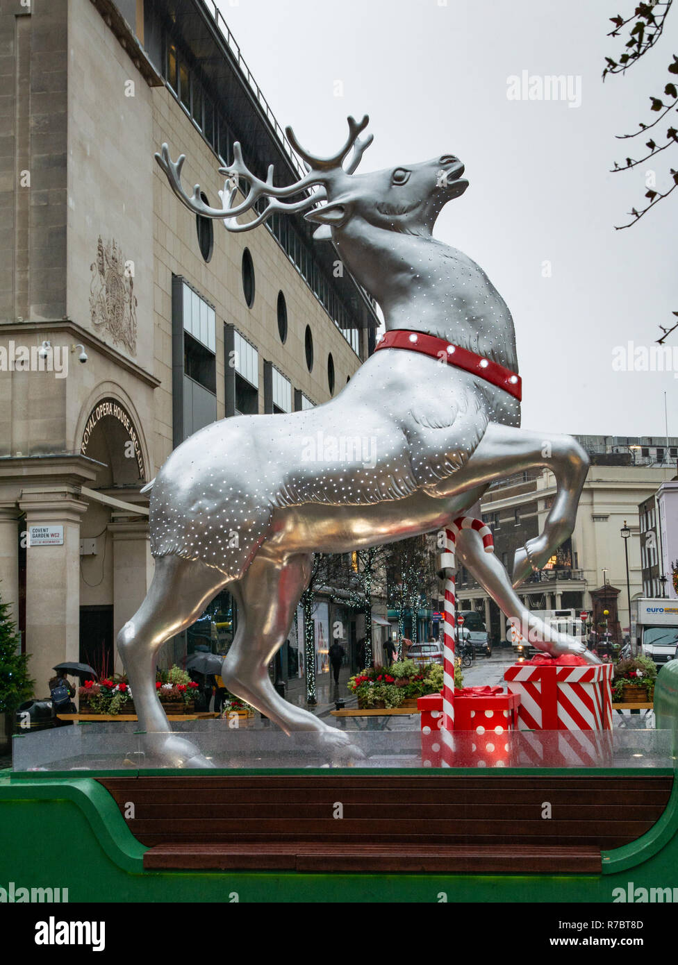Giant mistletoe hi-res stock photography and images - Alamy