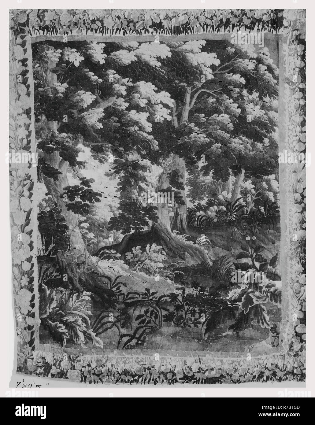 Landscape with diagonal recession of trees Stock Photo - Alamy