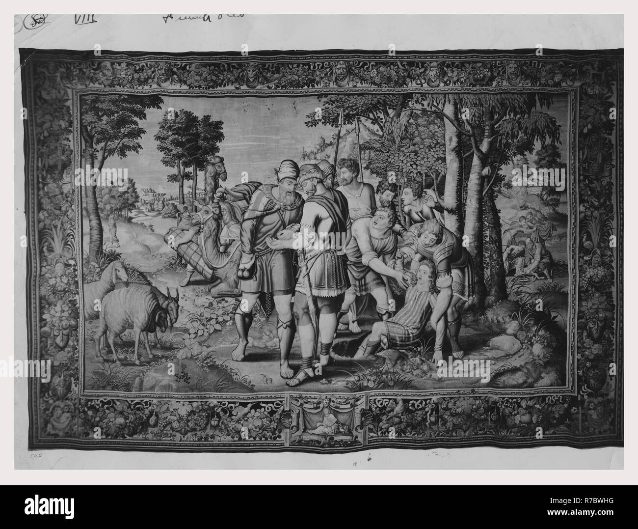 Joseph pulled out hi-res stock photography and images - Alamy