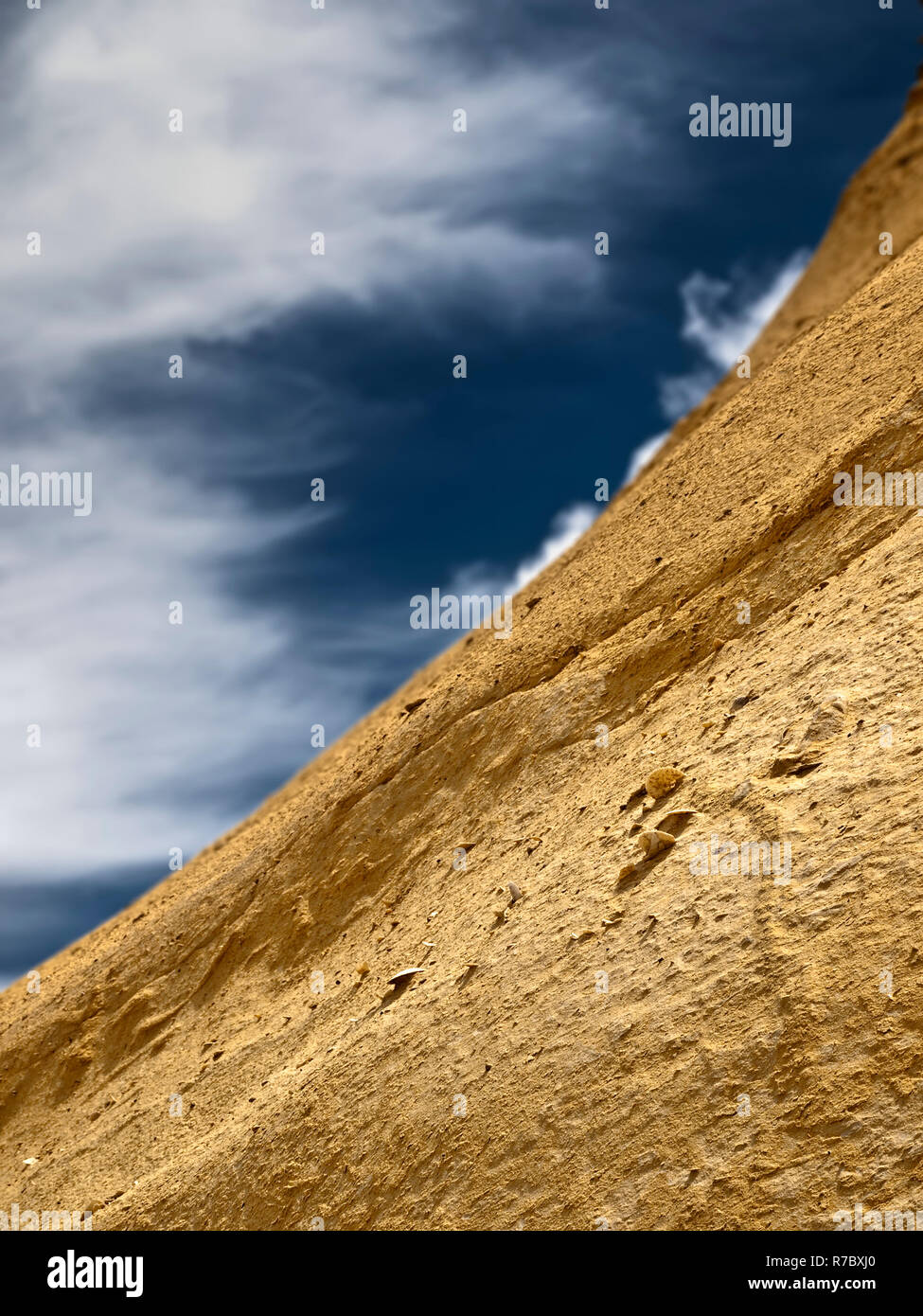 Fossilized seashells hi-res stock photography and images - Alamy