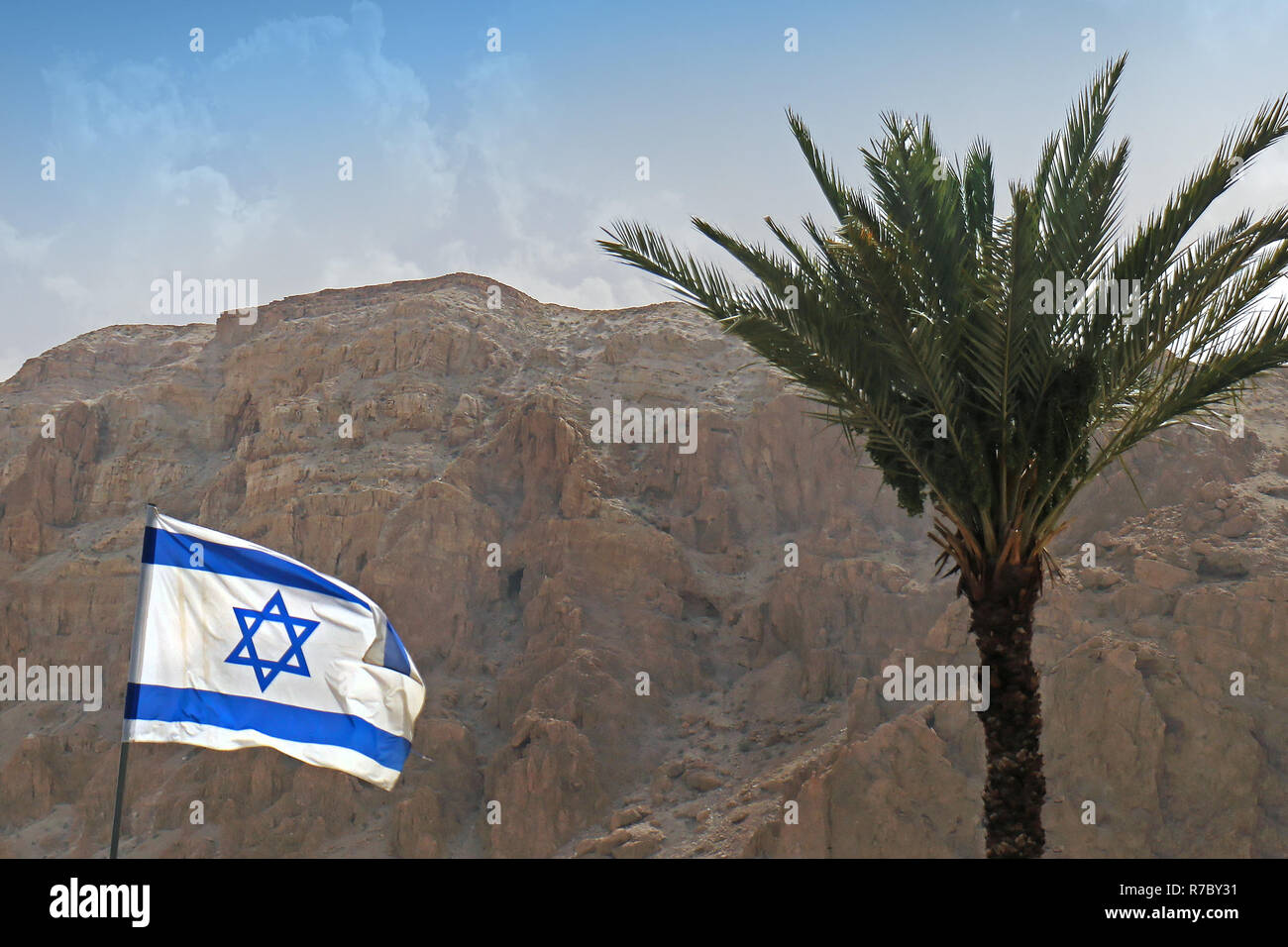 Isreal flag with palm tree Stock Photo - Alamy