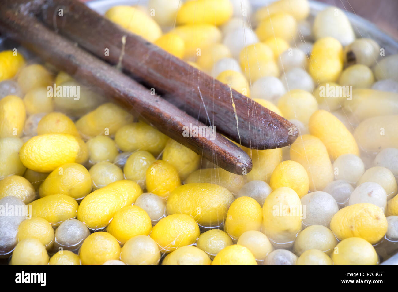 Closed up of vintage method for silk reeling and yellow and white ...
