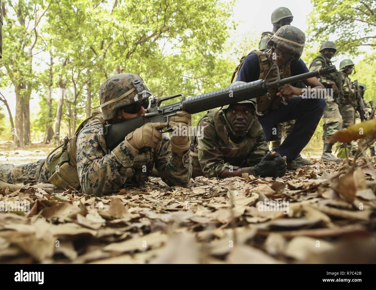 Prone soldier with gun hi-res stock photography and images - Alamy
