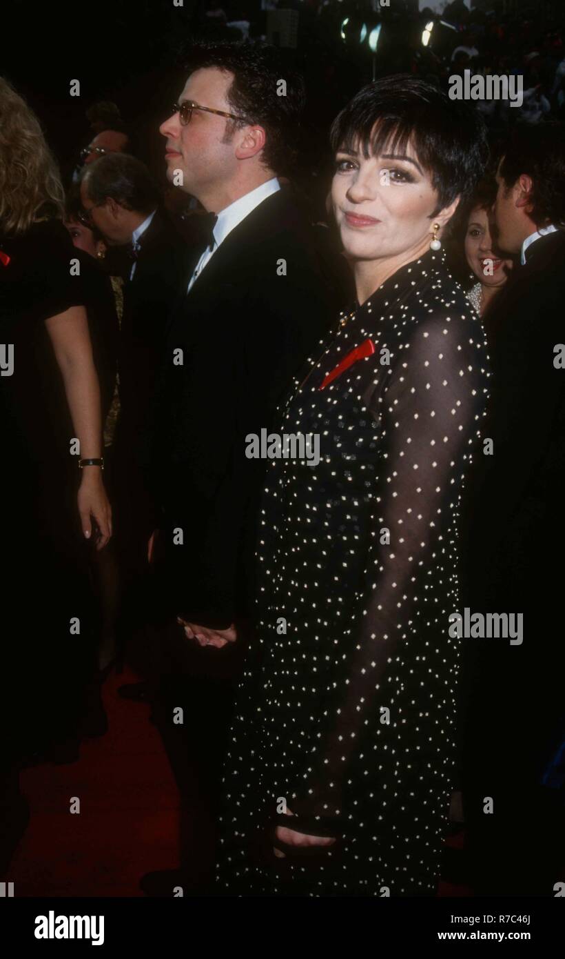 LOS ANGELES, CA - MARCH 29: Actress/singer Liza Minelli attends the ...