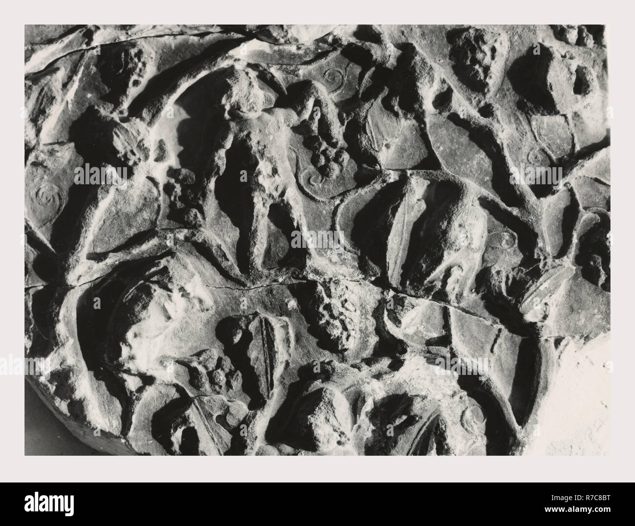 Lazio Latina Terracina Museo Archeologico, this is my Italy, the ...