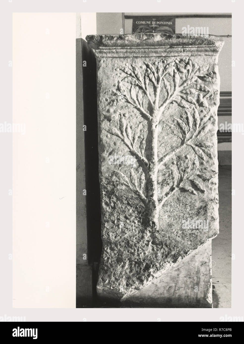 Lazio Latina Terracina Museo Archeologico, this is my Italy, the ...