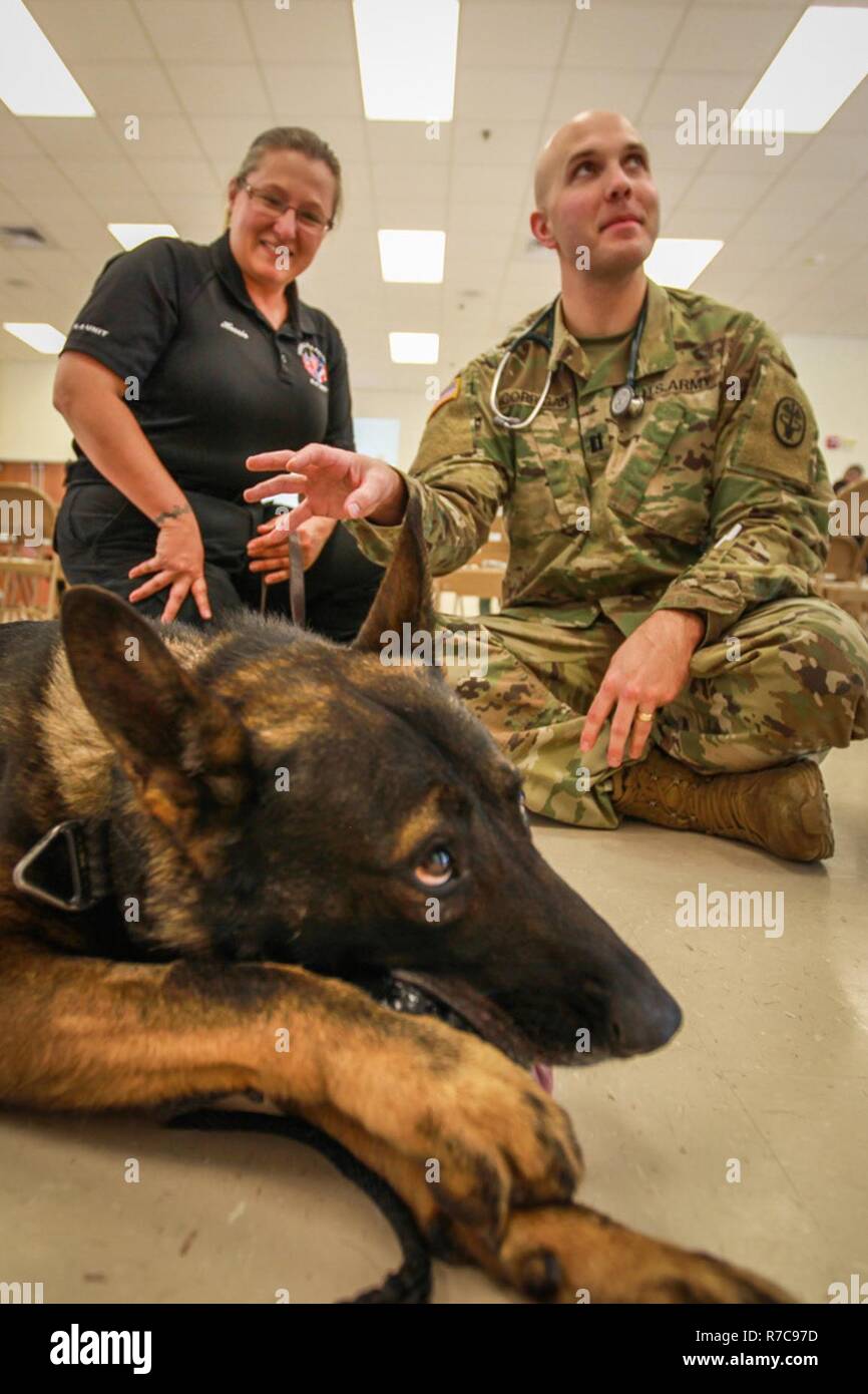 Melissa Harris, a Pensacola Police K9-team handler, Kojo, a Pensacola ...