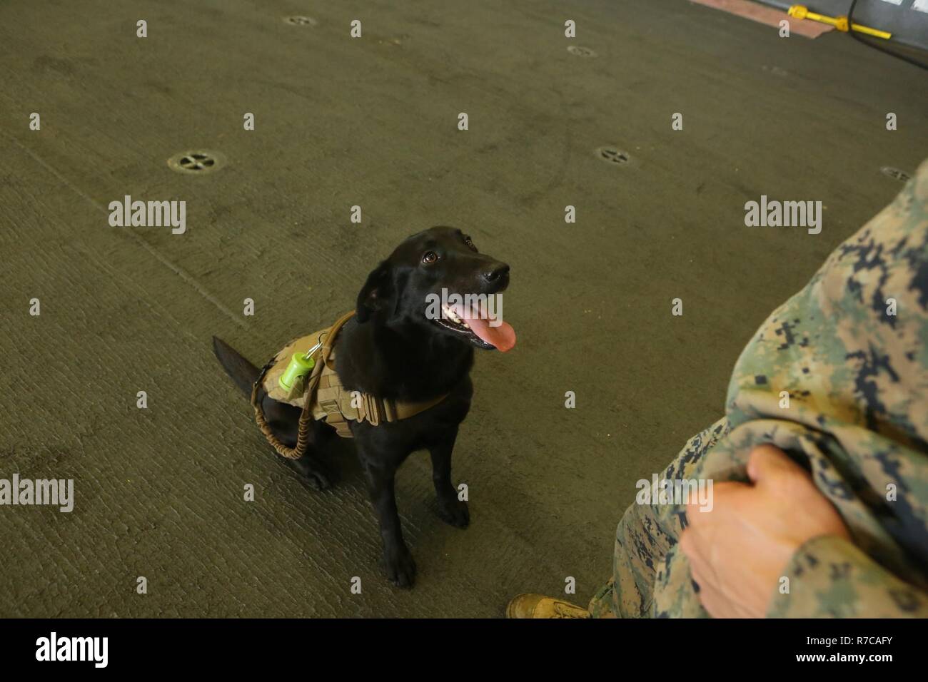 Tuxx hi-res stock photography and images - Alamy