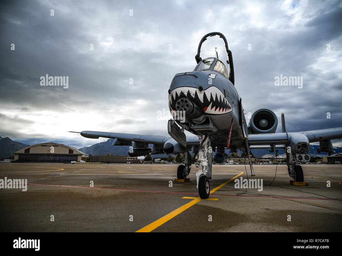An A-10 Thunderbolt II aircraft from Moody Air Force Base, Georgia ...