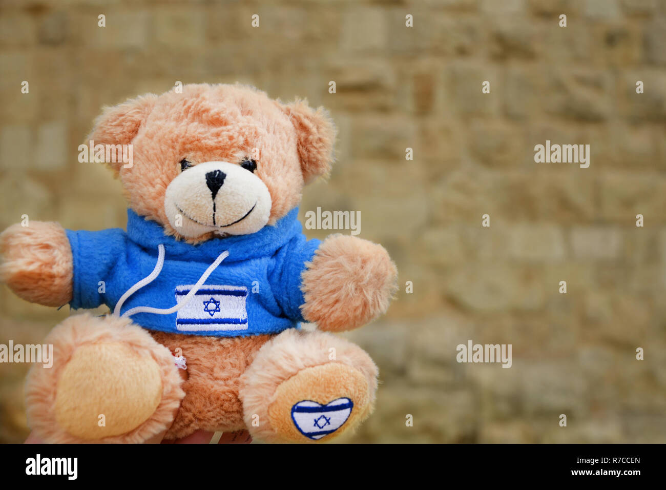 Brown bear sitting on rock hi-res stock photography and images - Alamy