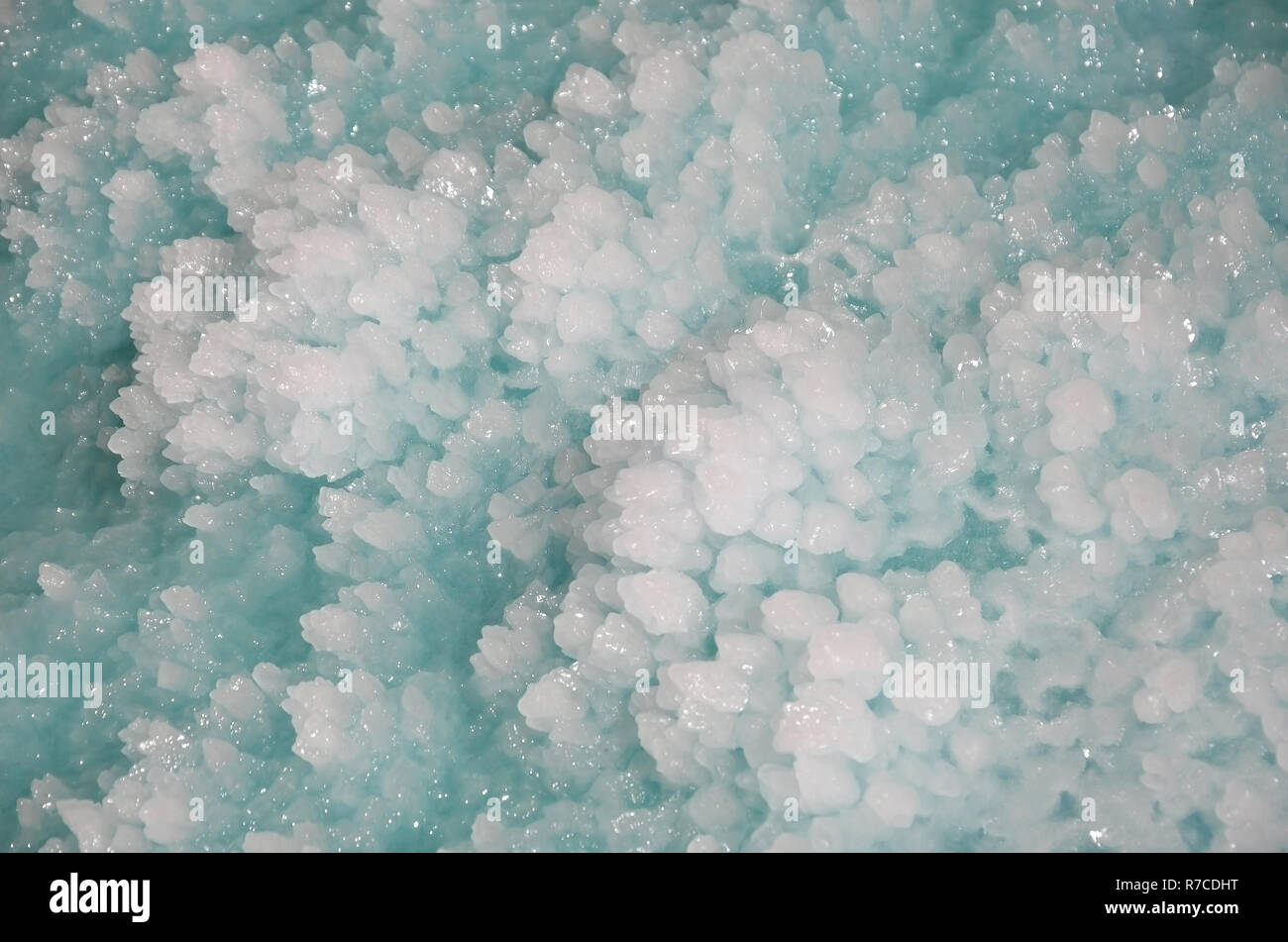 salt ledges on the beach in the blue waters of the Dead Sea, Israel ...