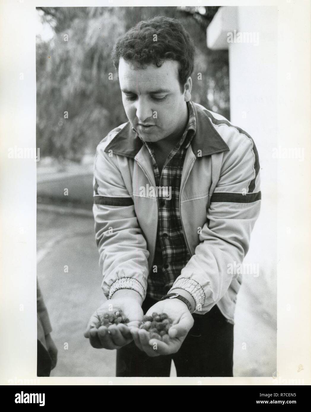 man showing beans Stock Photo - Alamy
