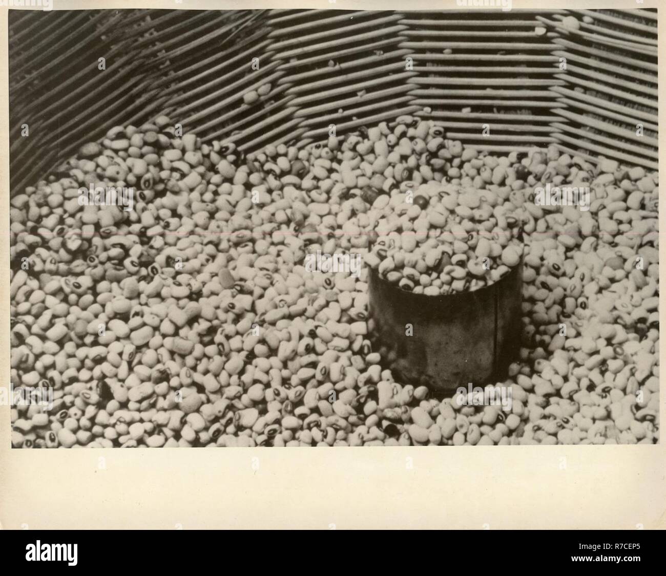 basket of things that look like beans Stock Photo - Alamy