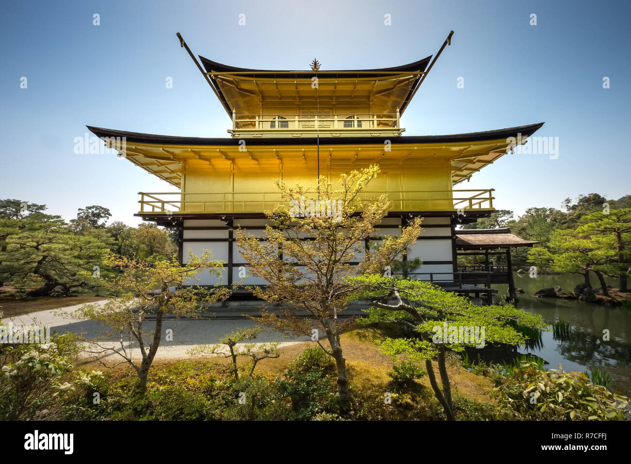 Completely covered with gold leaf hi-res stock photography and images ...