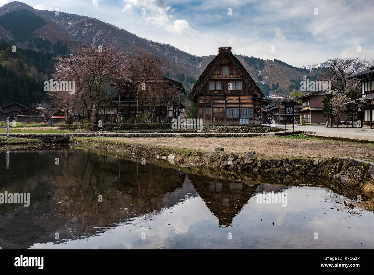The famous traditional gassho-zukuri farmhouses in Shirakawa-go village ...
