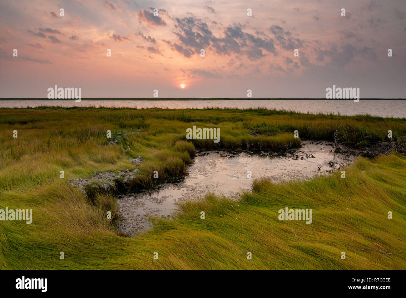 Chesapeake bay wetlands hi-res stock photography and images - Alamy