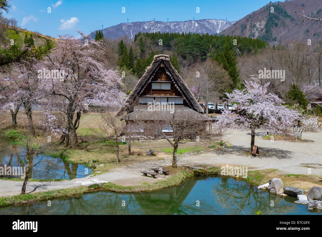The famous traditional gassho-zukuri farmhouses in Shirakawa-go village ...
