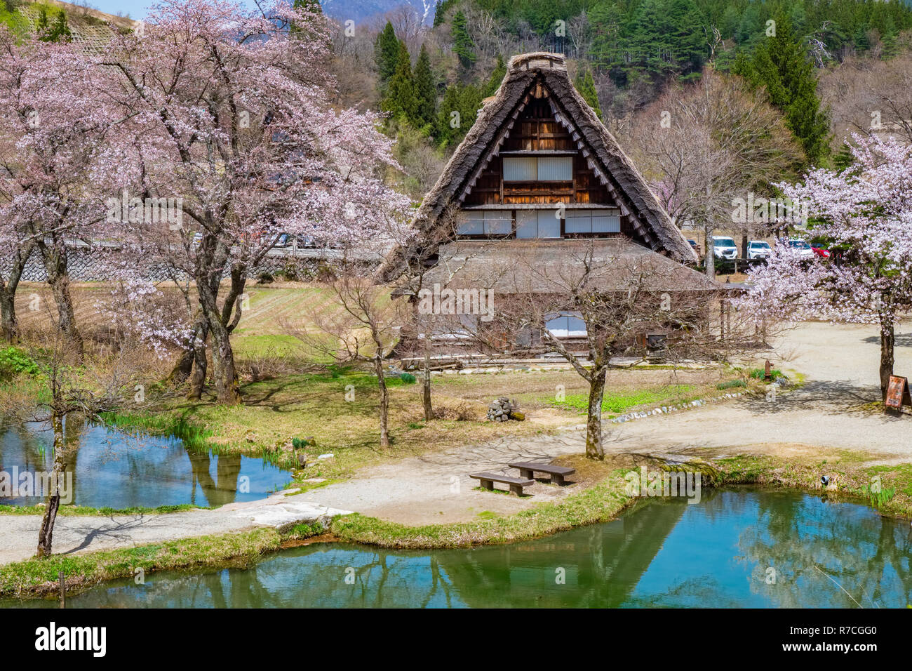 The famous traditional gassho-zukuri farmhouses in Shirakawa-go village ...