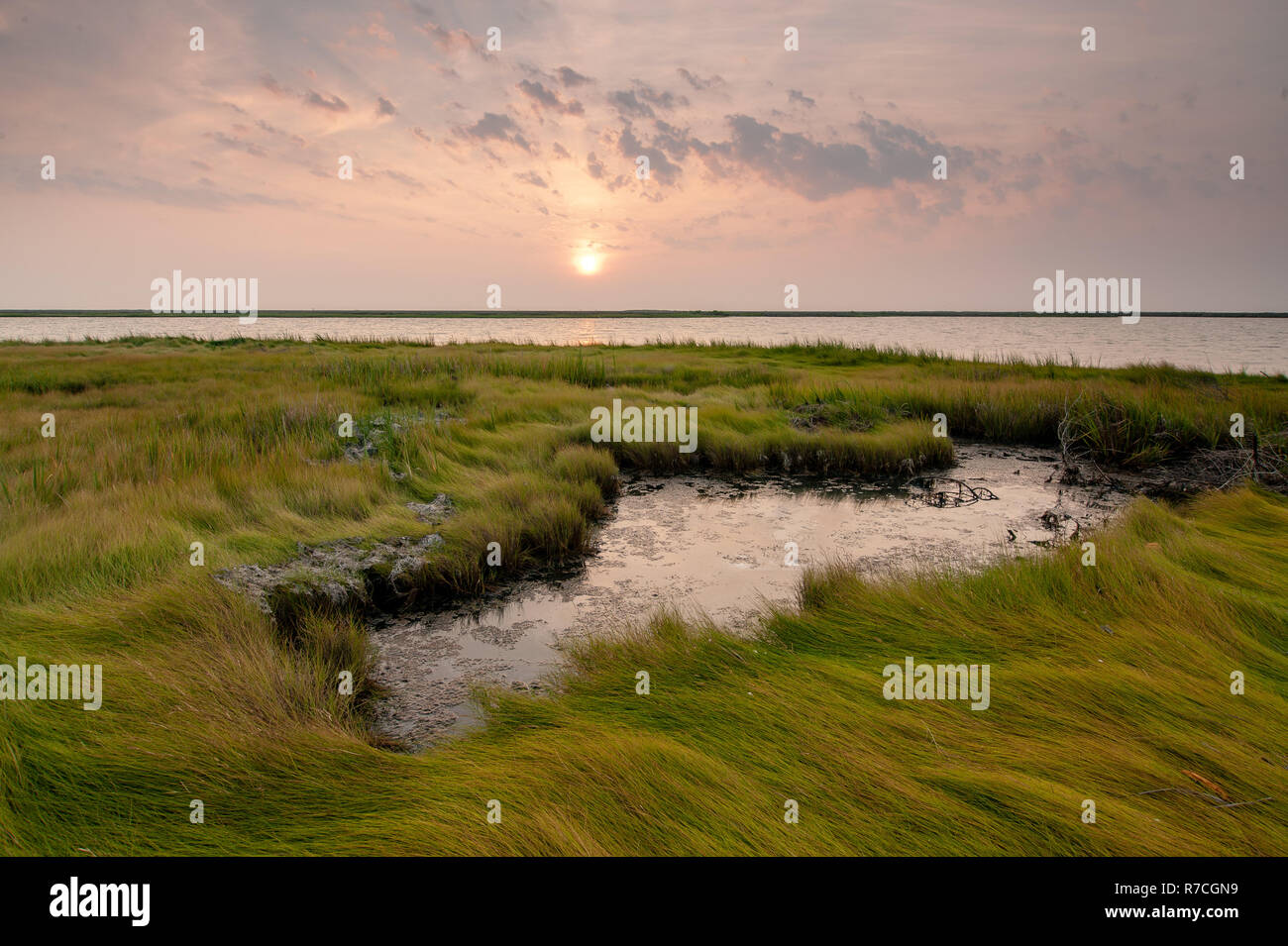 Chesapeake Bay Estuarine Complex High Resolution Stock Photography and ...
