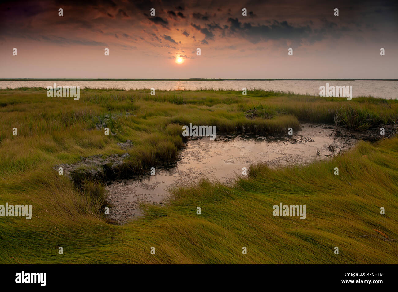 Sunrise on the tidal wetlands of the Chesapeake Bay in Maryland Stock ...