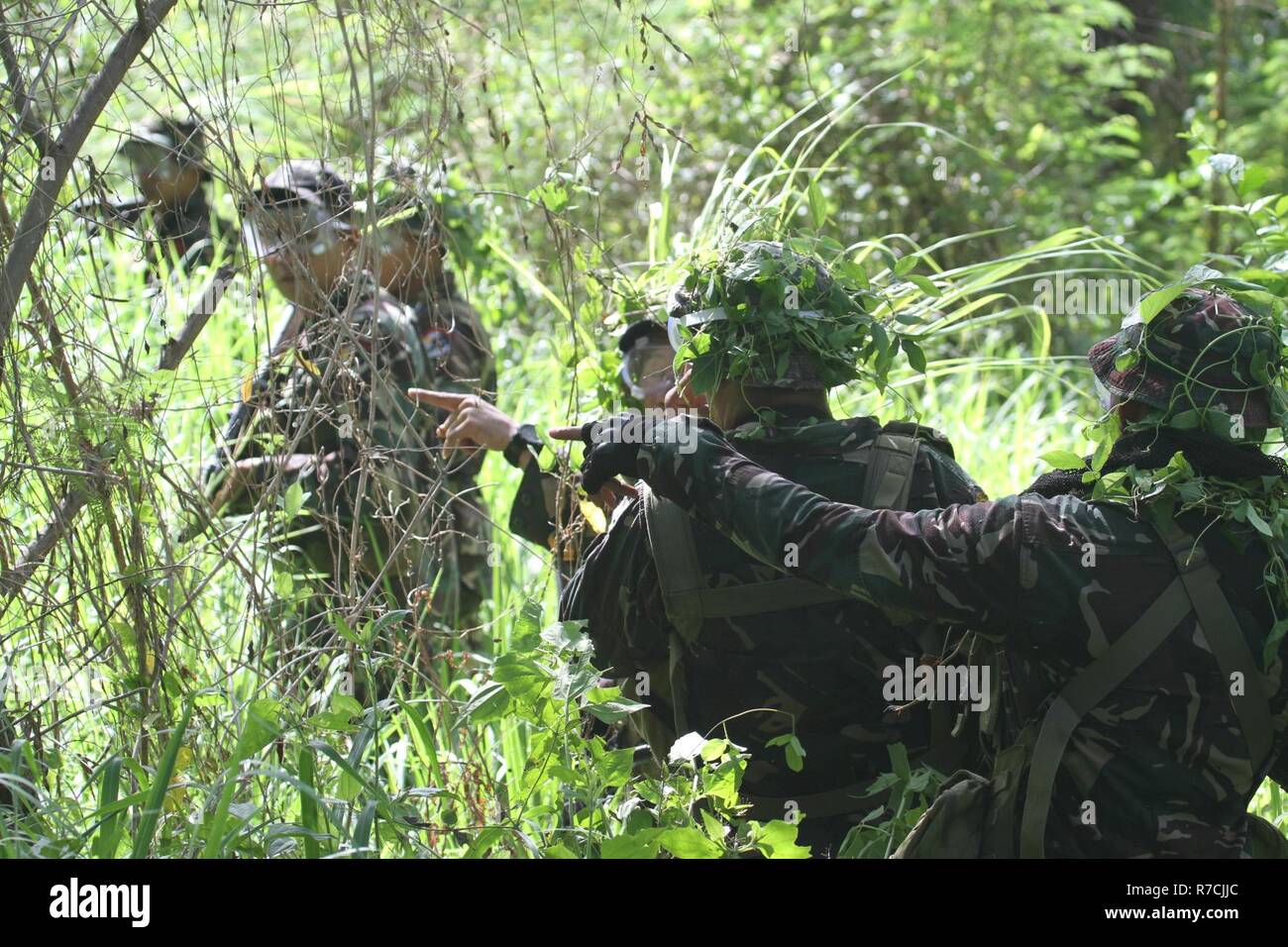 Scout ranger regiment hi-res stock photography and images - Alamy