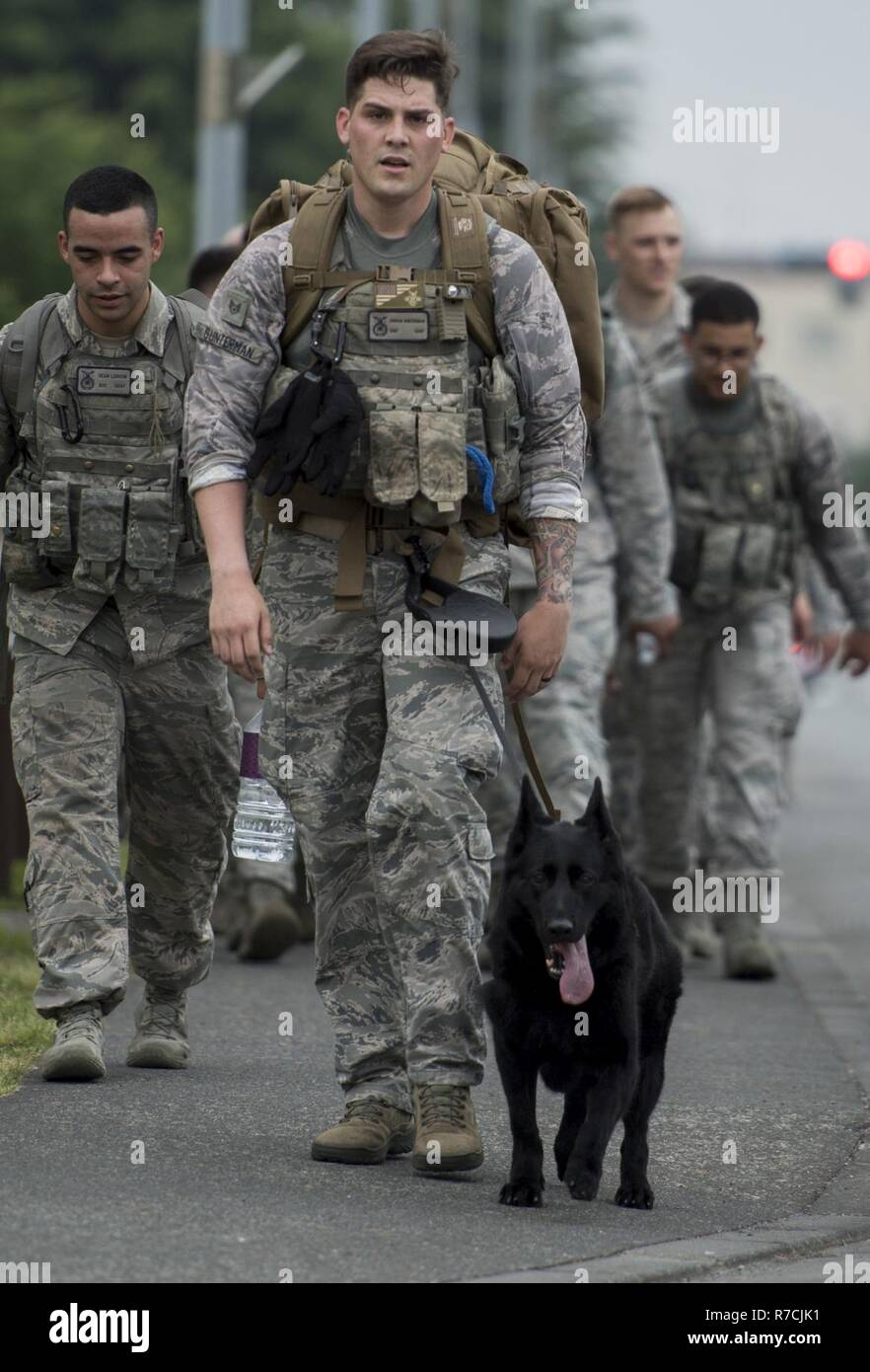 A 374th Security Forces Squadron K-9 unit and handler participate in ...