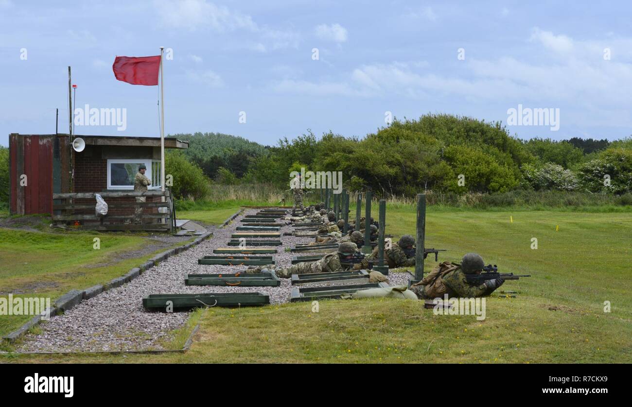 U.S. Marines and Royal Marines aim SA80 A2 L85 Assault Rifle's ...