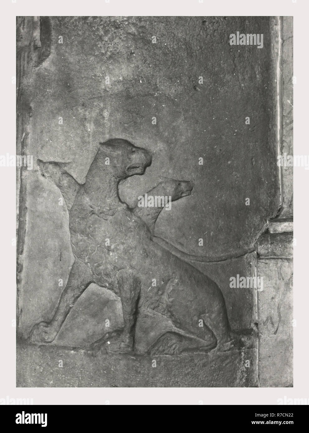 Lazio Roma Rome Palazzo Rondanini, this is my Italy, the italian ...