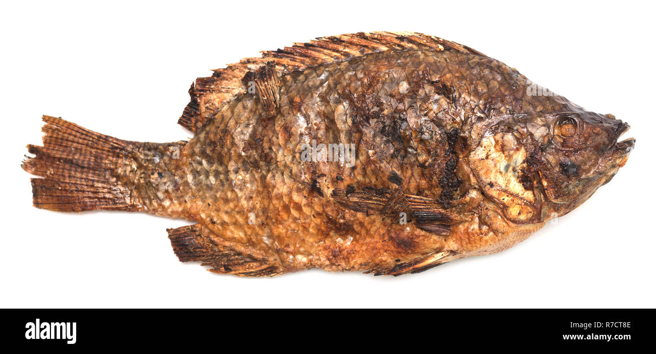 Grilled fish isolated on white background Stock Photo - Alamy