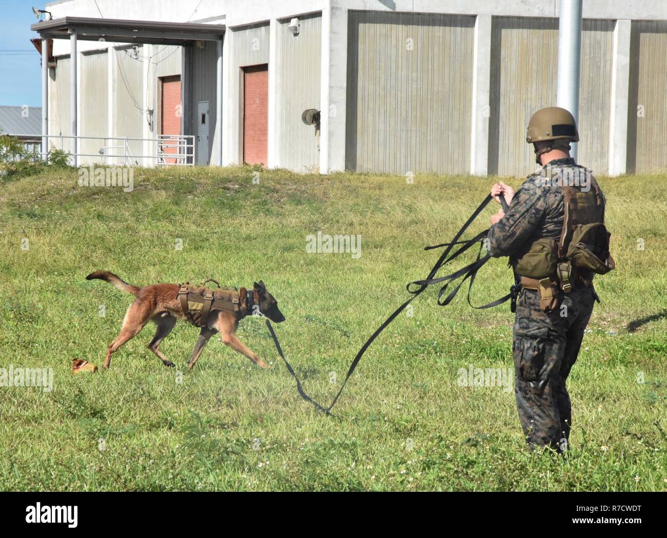 KEY WEST, Fla. (Nov. 29, 2018) Marine Raiders from Marine Corps Forces ...
