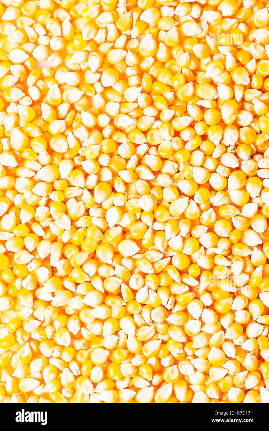 Background of fresh golden raw corn kernels Stock Photo - Alamy
