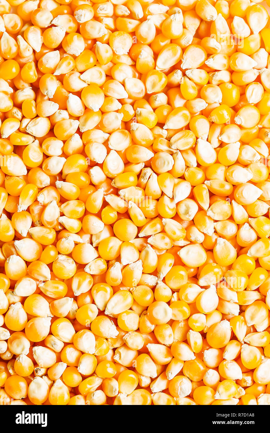 Background of fresh golden raw corn kernels Stock Photo - Alamy