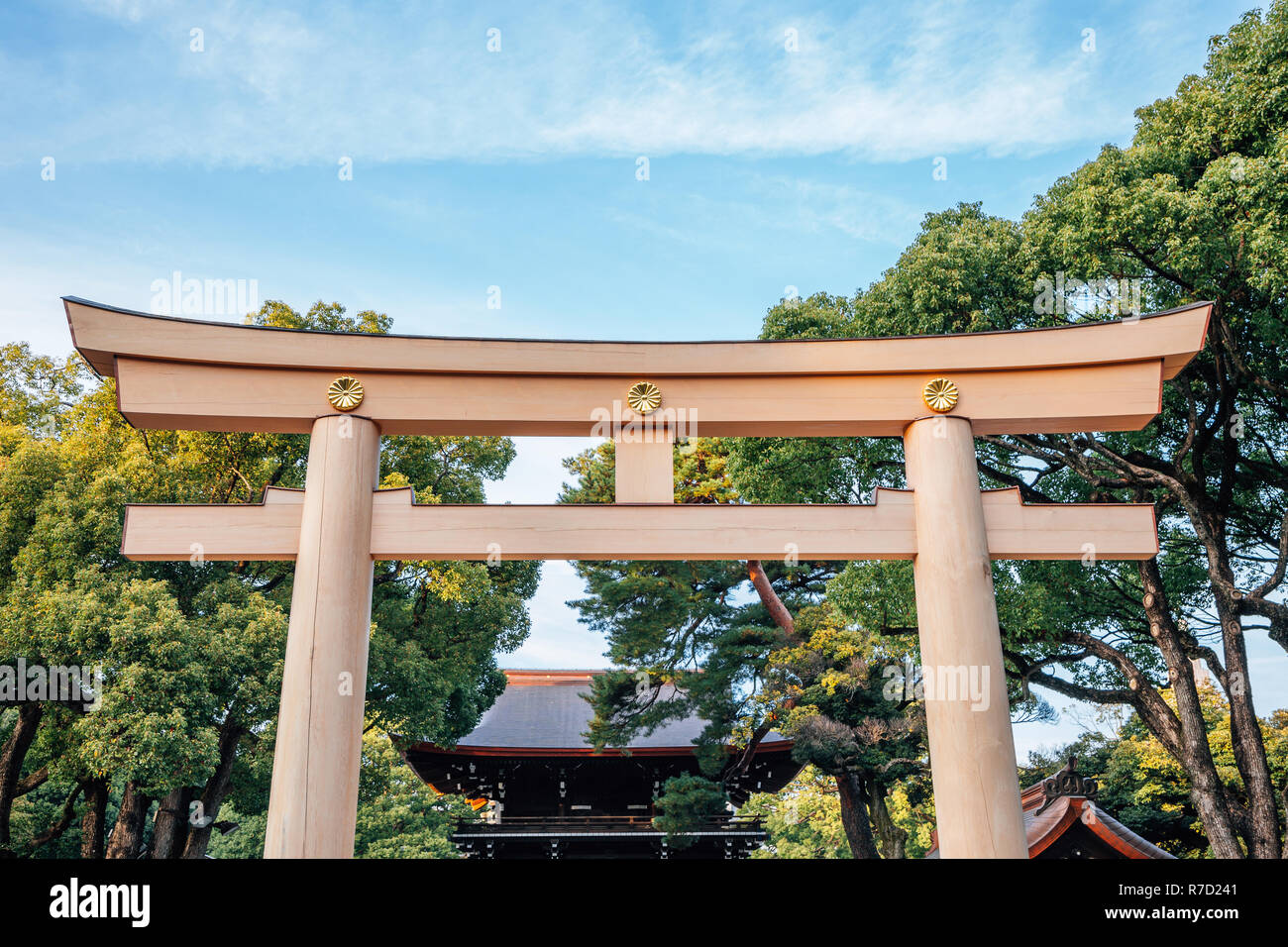 Meiji Jingu shrine Torii gate in Tokyo, Japan Stock Photo - Alamy