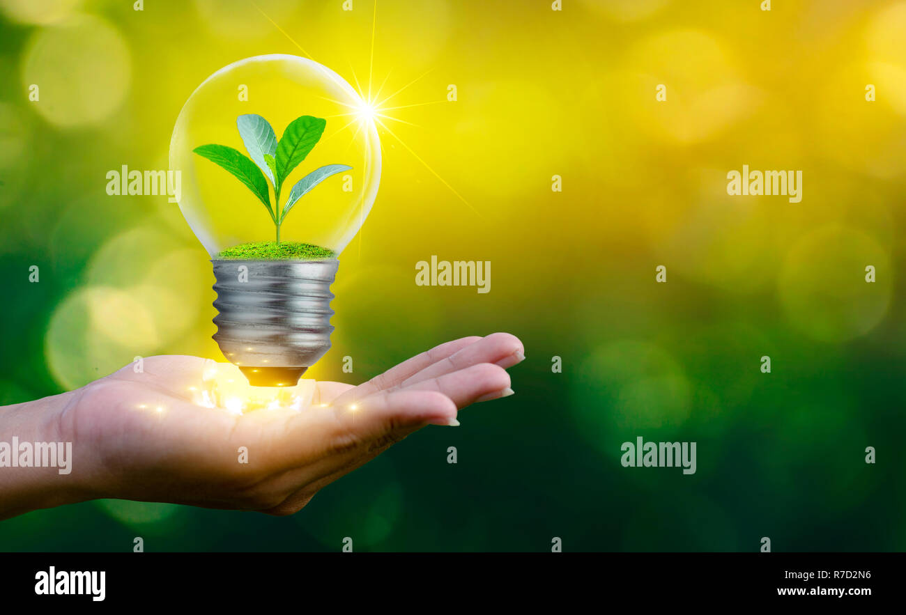 Light soil hi-res stock photography and images - Alamy