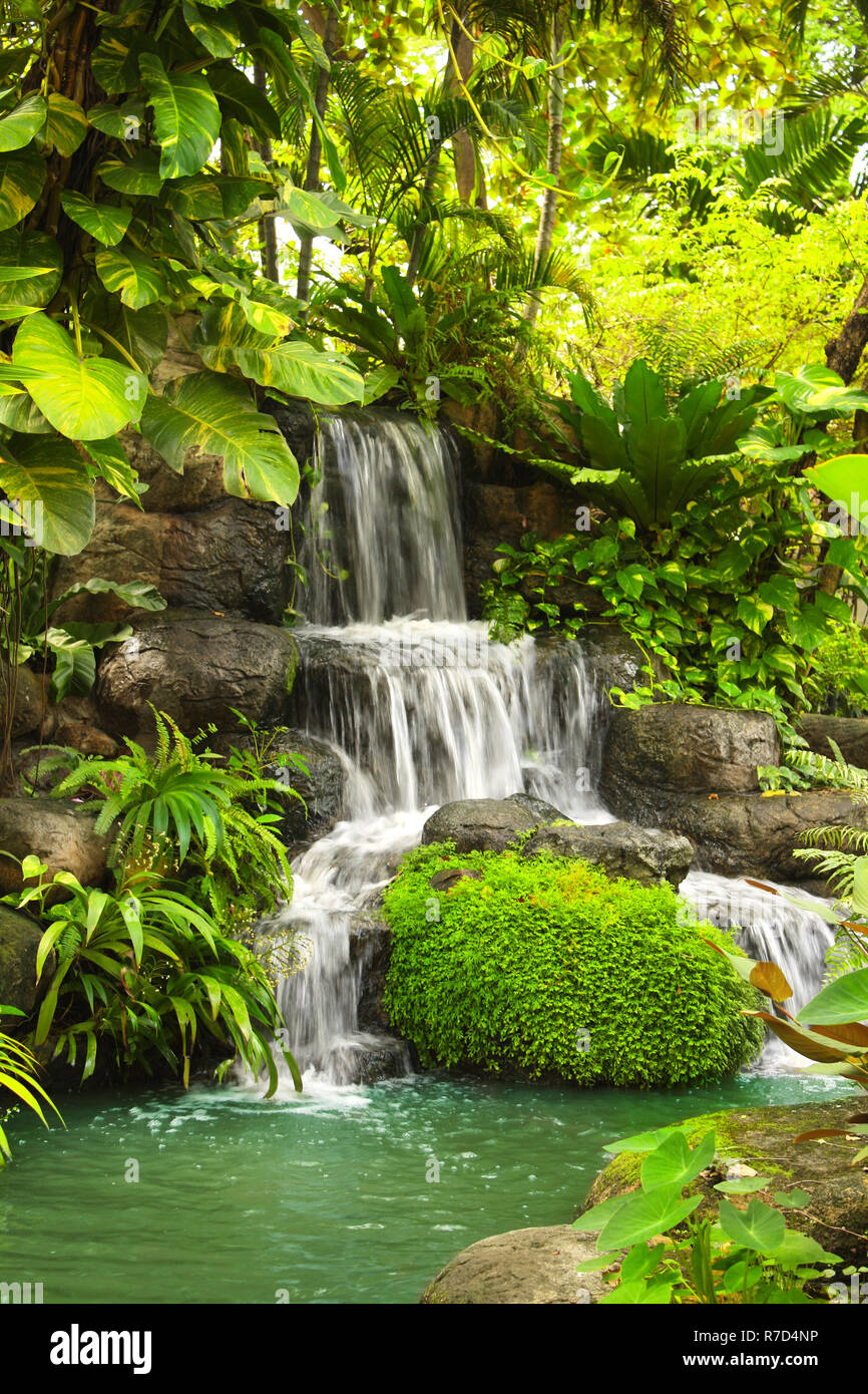 Tropical Waterfalls Pictures