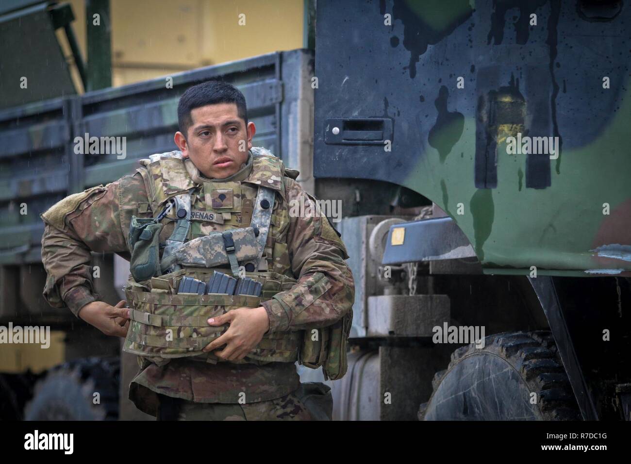 115th brigade support battalion muleskinners hi-res stock photography ...