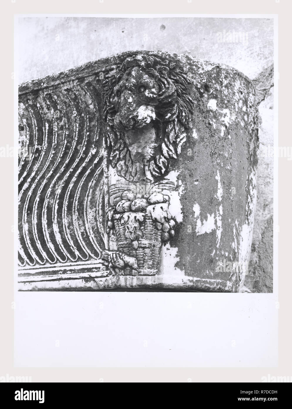 Lazio Roma Zagarolo Palazzo Colonna, this is my Italy, the italian ...