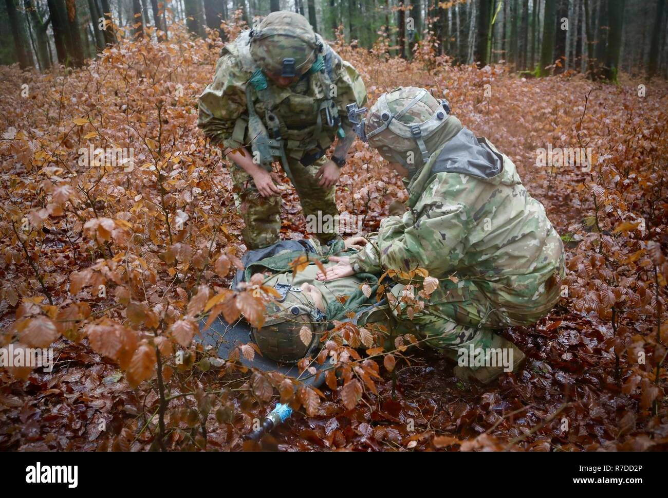 Lee hurst hi-res stock photography and images - Alamy