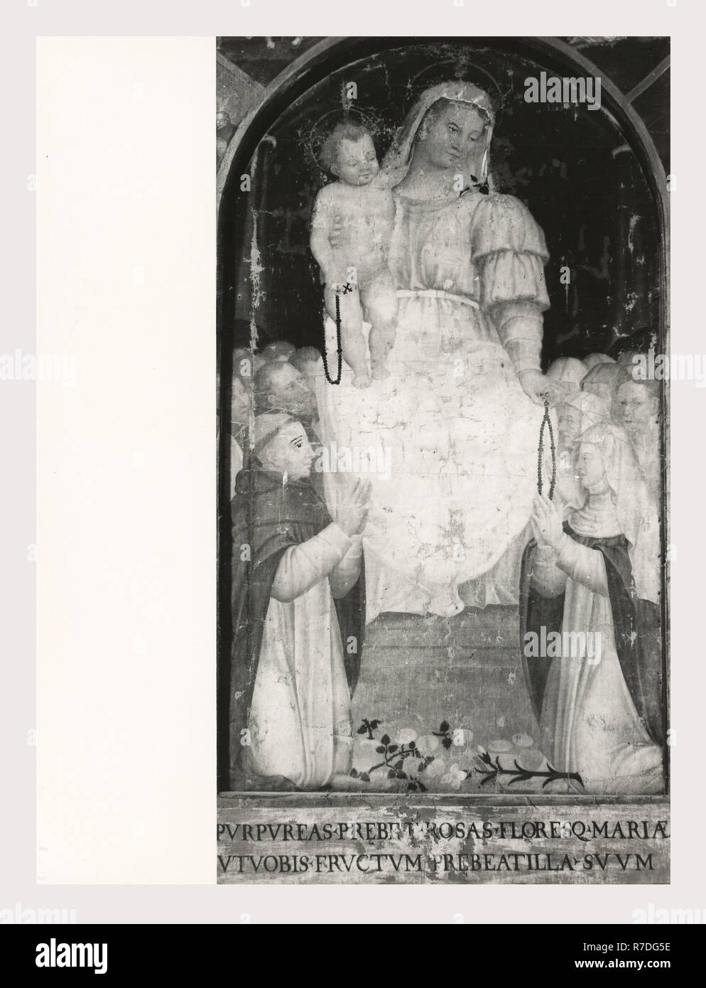 Lazio, Viterbo, Tuscania, S. Maria della Rosa Stock Photo - Alamy