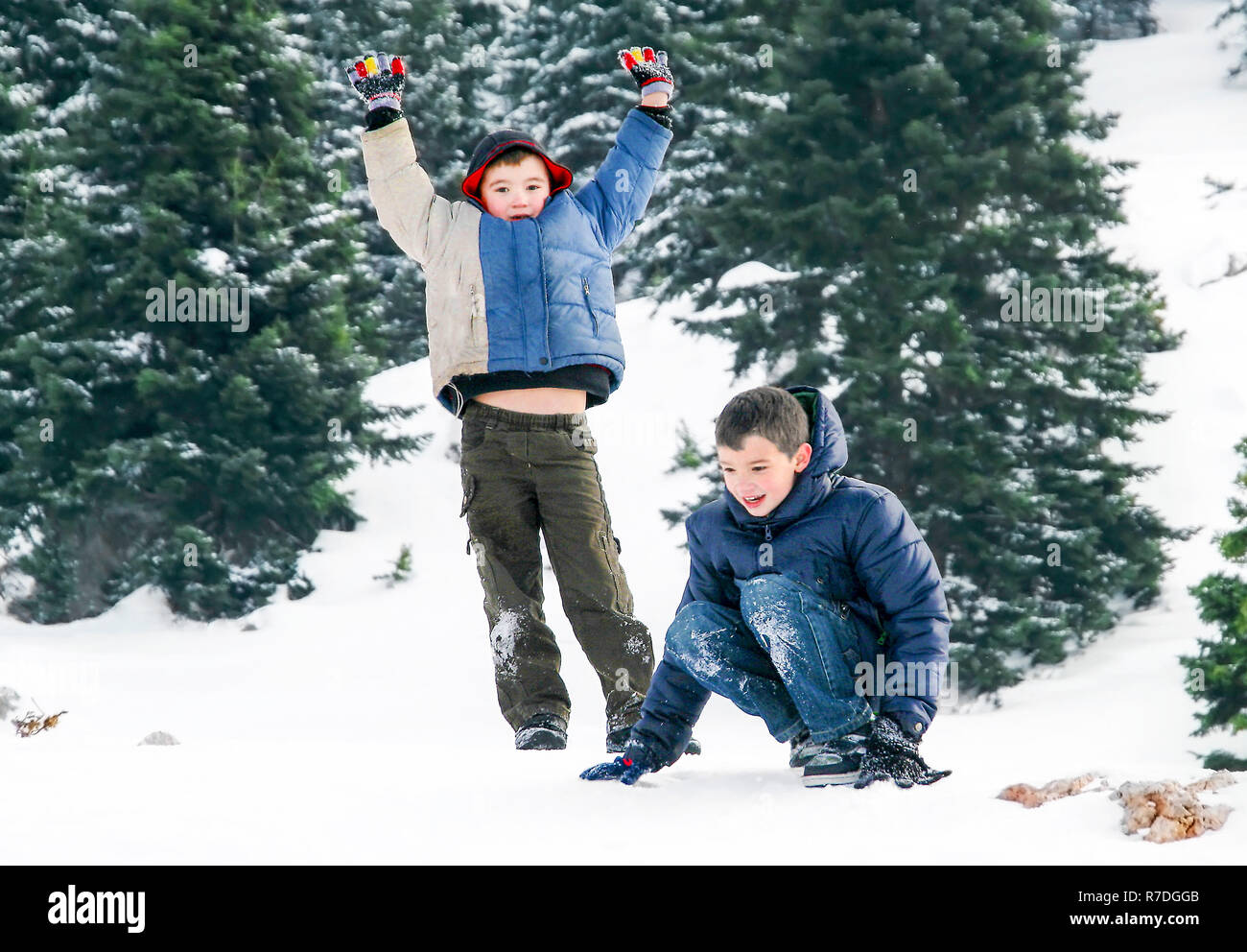Two happy kids playing and enjoy the snow in forest Stock Photo - Alamy