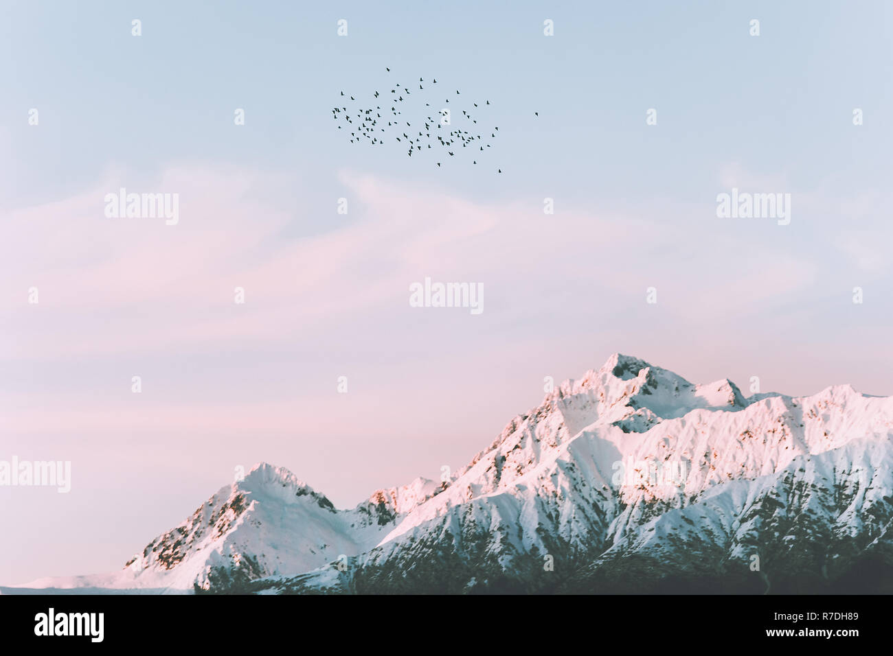 Minimal moody landscape hi-res stock photography and images - Alamy