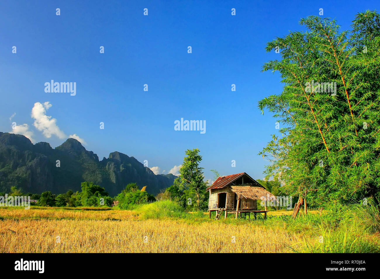 Farmer's hut on a field in Vang Vieng, Laos. Vang Vieng is a popular ...