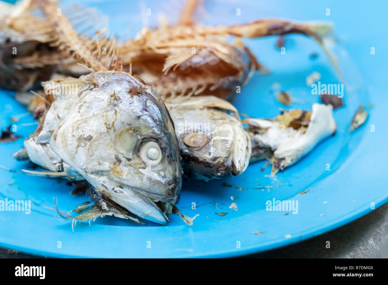 Food scraps on the plate Stock Photo - Alamy