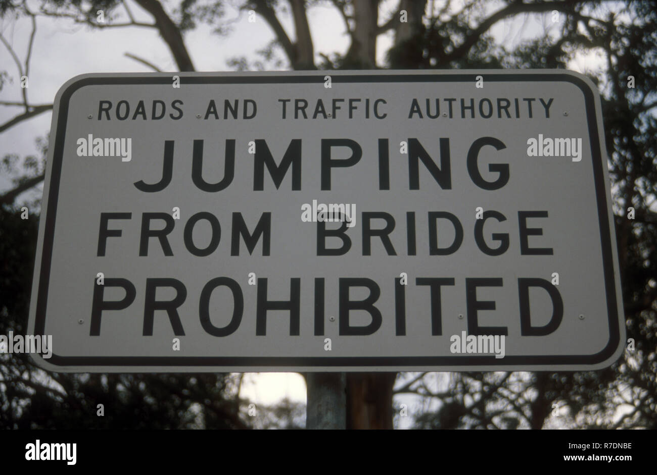 ROADS AND TRAFFIC AUTHORITY SIGN ''JUMPING FROM BRIDGE PROHIBITED", NEW ...