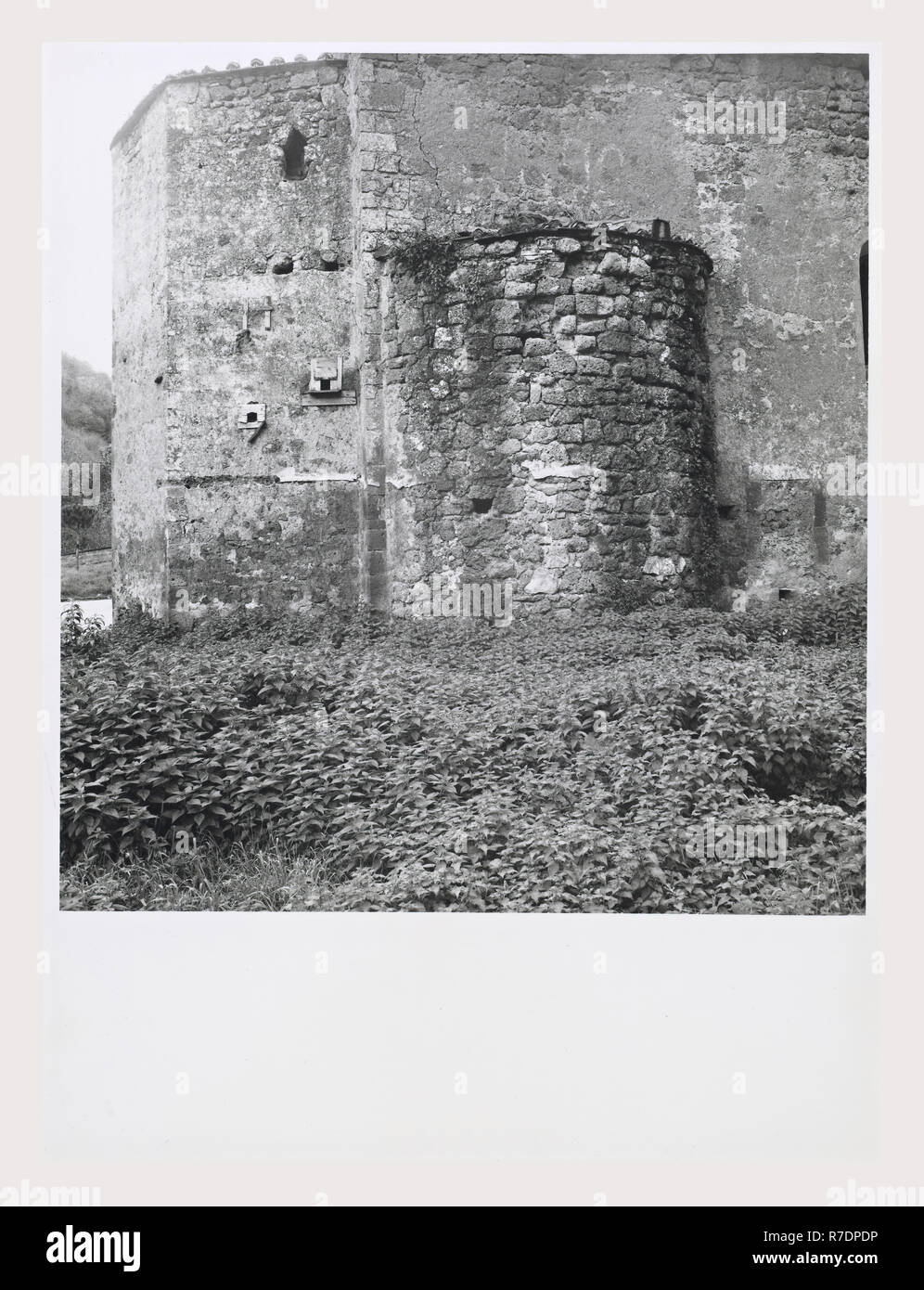 Lazio Viterbo Capranica S. Rocco, this is my Italy, the italian country ...