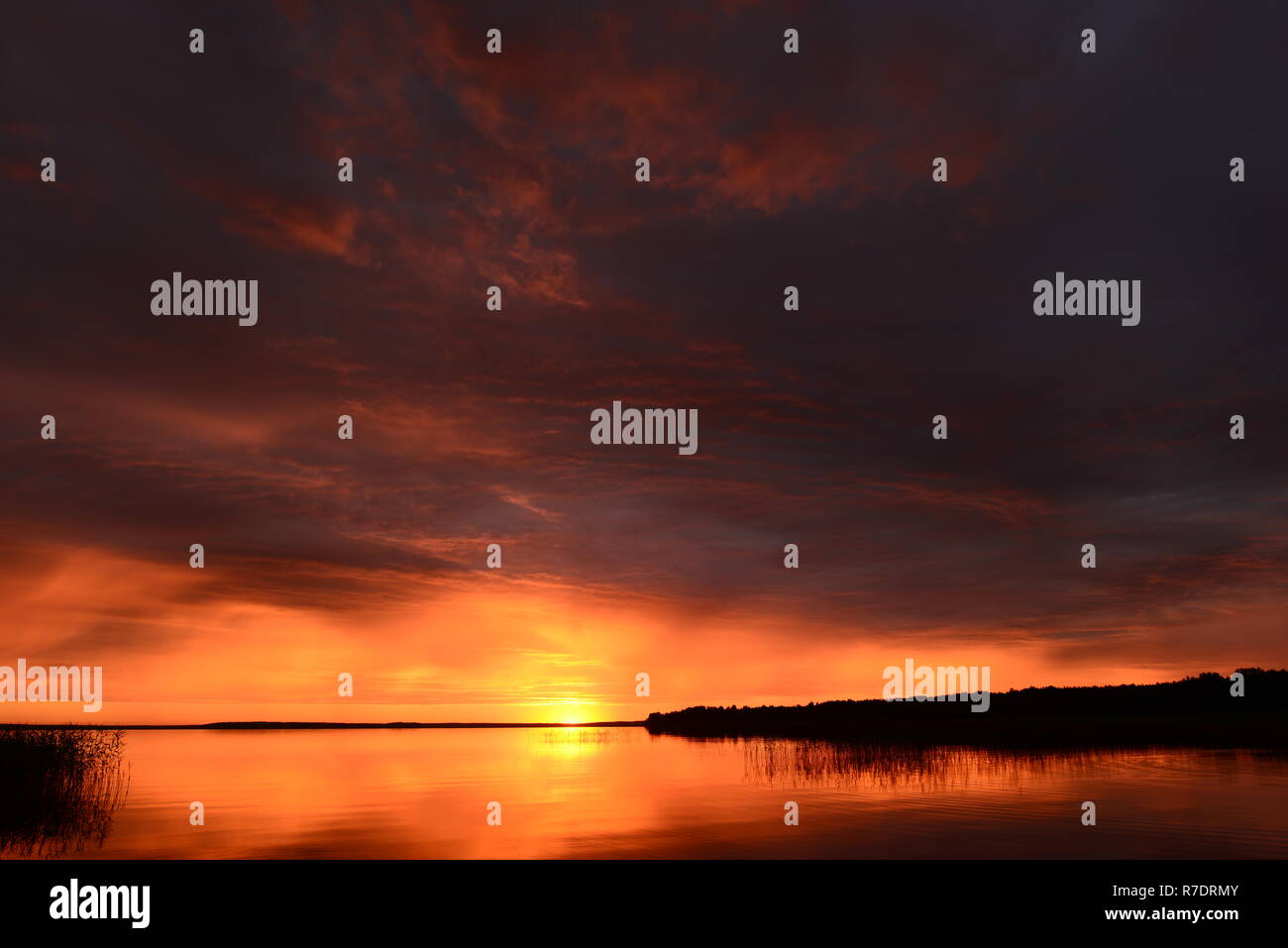Natural beauty color palette of the glowing sky at sunset above the ...