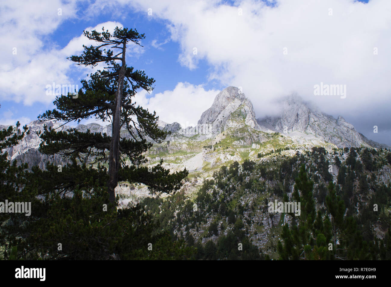 The Thethi National park in Northwest Albania neighbouring the NP ...