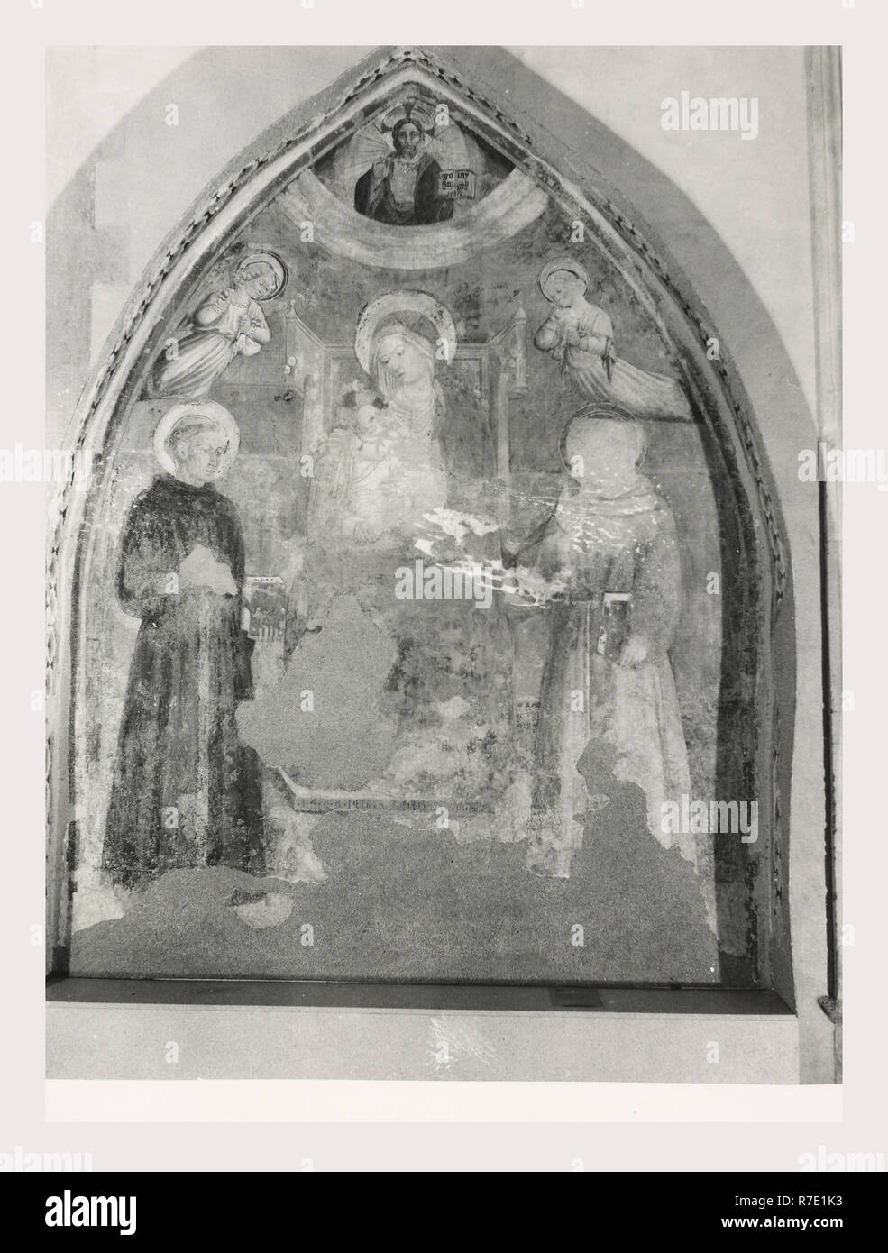 Marches Pesaro e Urbino Urbino Museo del Duomo "Albani", this is my ...