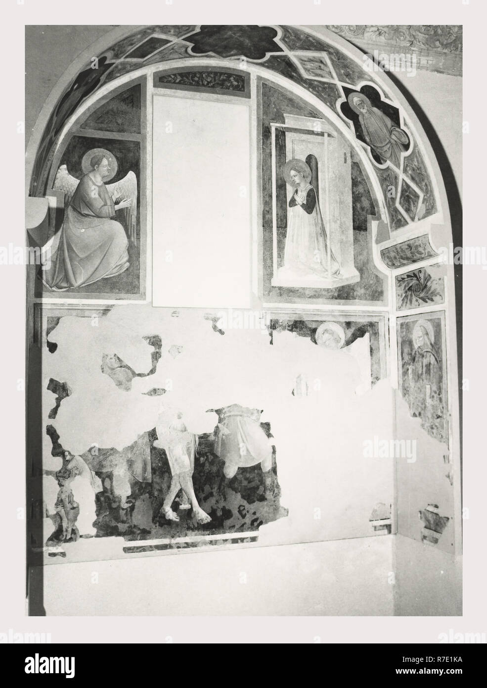 Marches Pesaro e Urbino Urbino Museo del Duomo "Albani", this is my ...